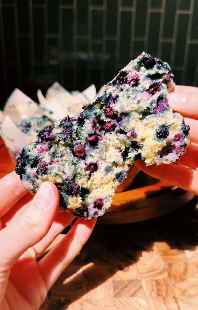 Ritz Carlton Blueberry Muffins- Perfectly Moist Blueberry Muffins ...